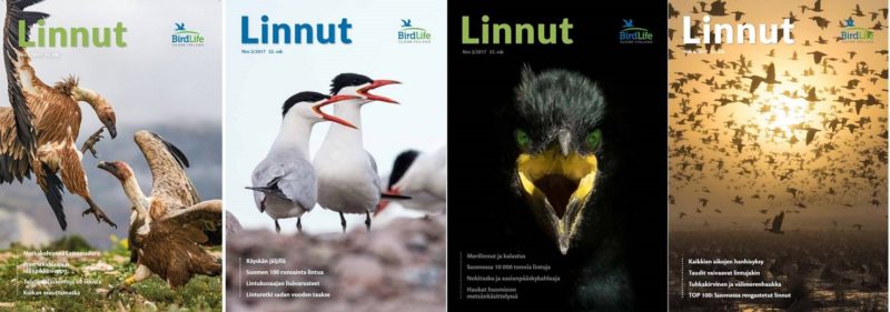 BirdLife Suomi | Tilaa Linnut-lehti