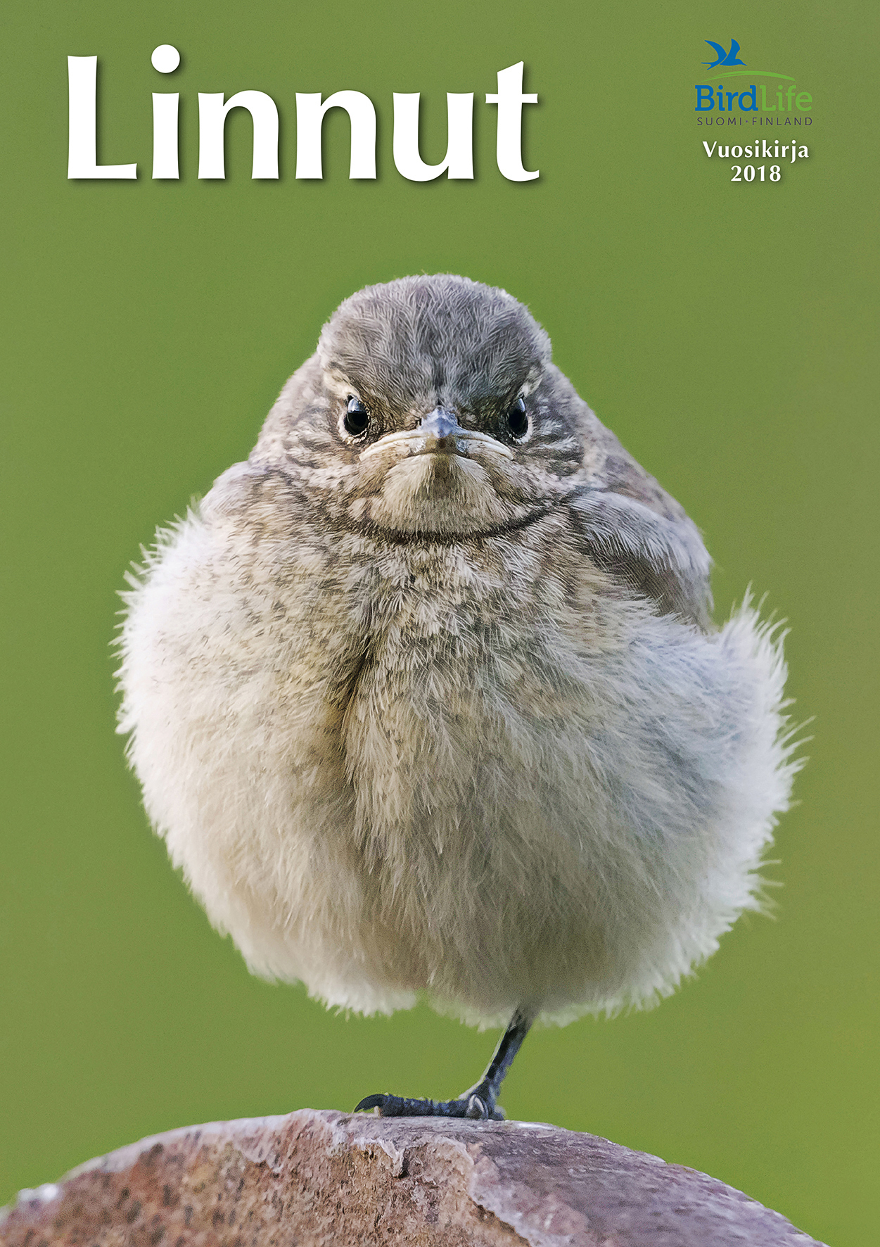 BirdLife Suomi | Linnut-vuosikirja 2018