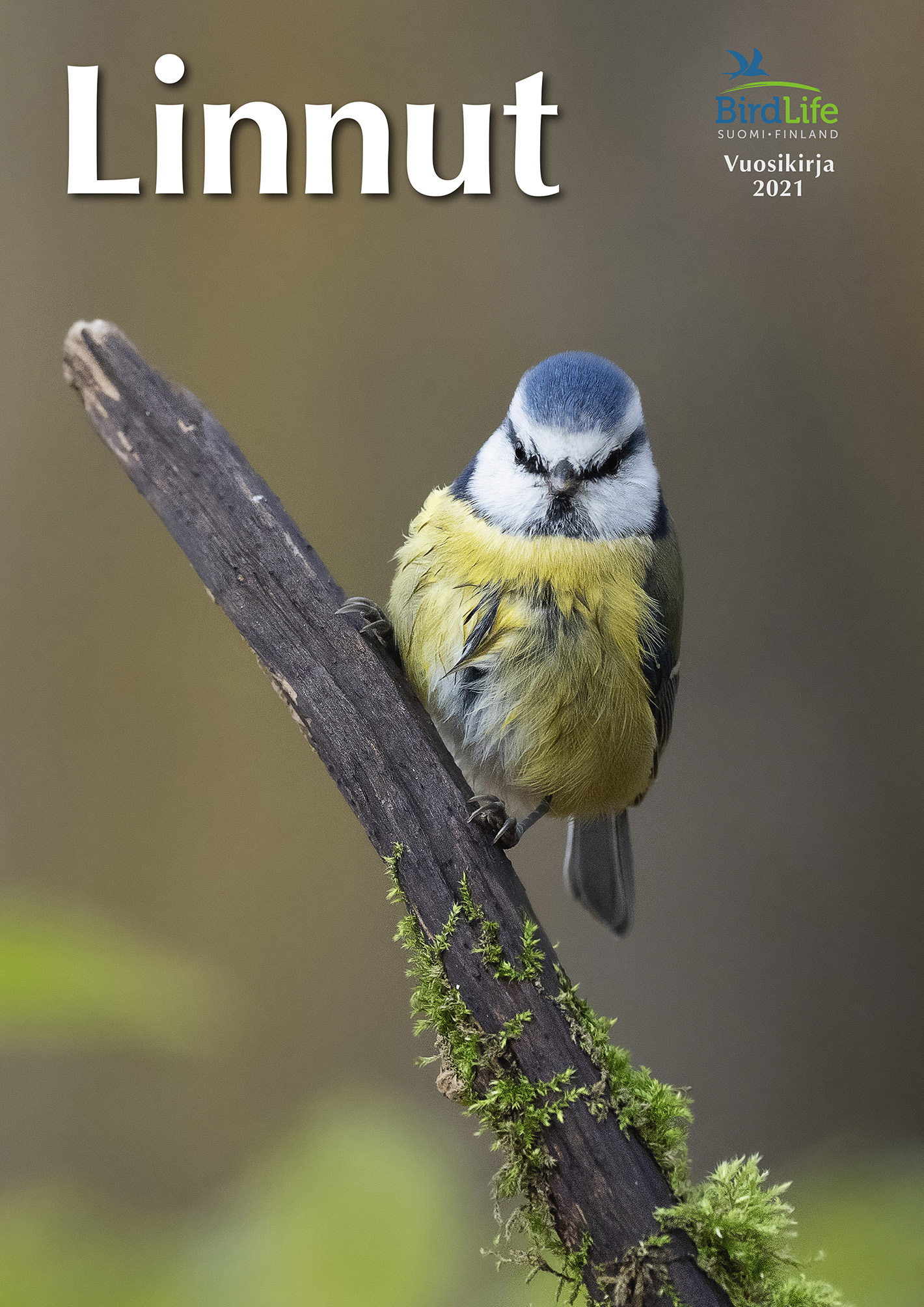 BirdLife Suomi | Linnut-vuosikirja 2021
