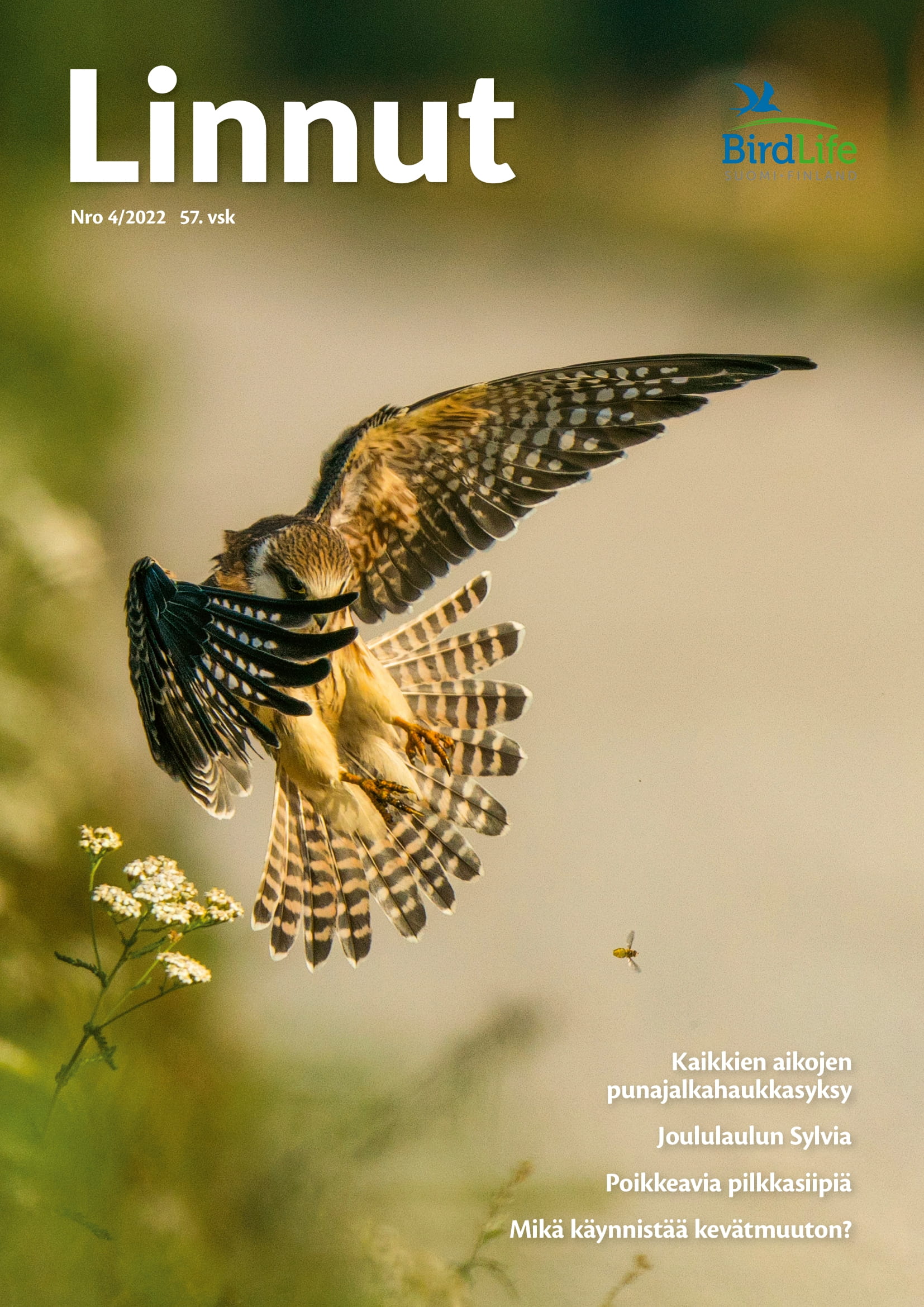 BirdLife Suomi | Linnut 4/2022