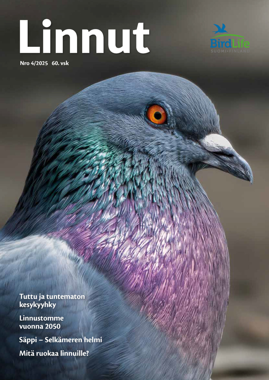 BirdLife Suomi | Linnut 4/2025